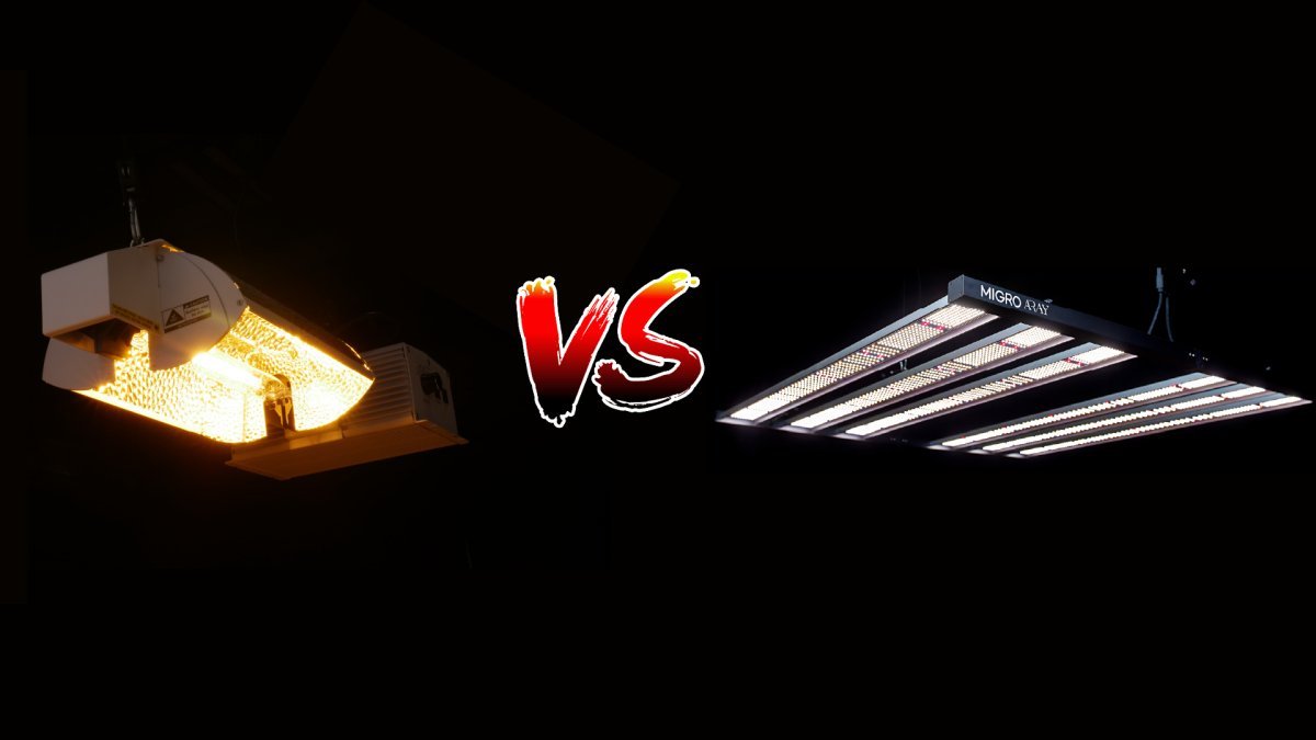 5 reasons to upgrade from HPS to LED grow lights – MIGROLIGHT